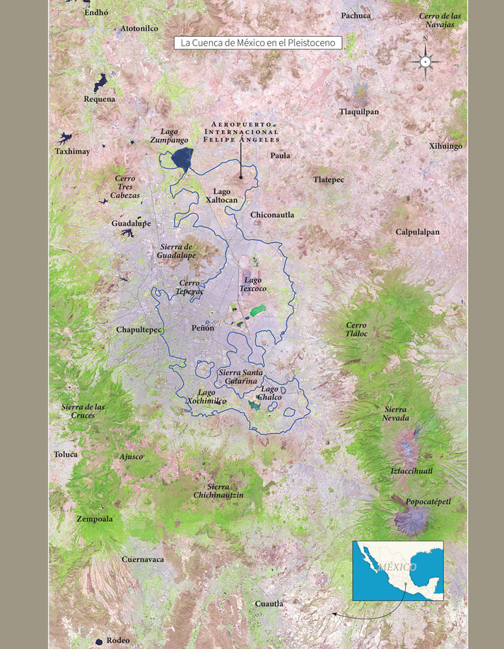 Quinametzin. Museo paleontológico de Santa Lucía – Tienda web Editorial ...