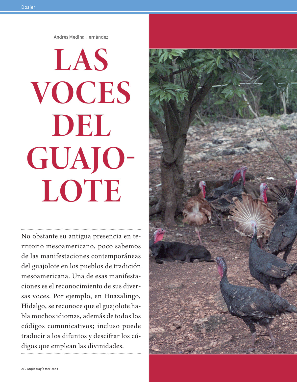 El Guajolote de México al mundo – Tienda web Editorial Raíces, S.A. de C.V.